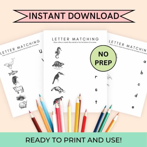 Beginning Sounds ABCs Letter Match Worksheets (Volume 1) | Made By Teachers
