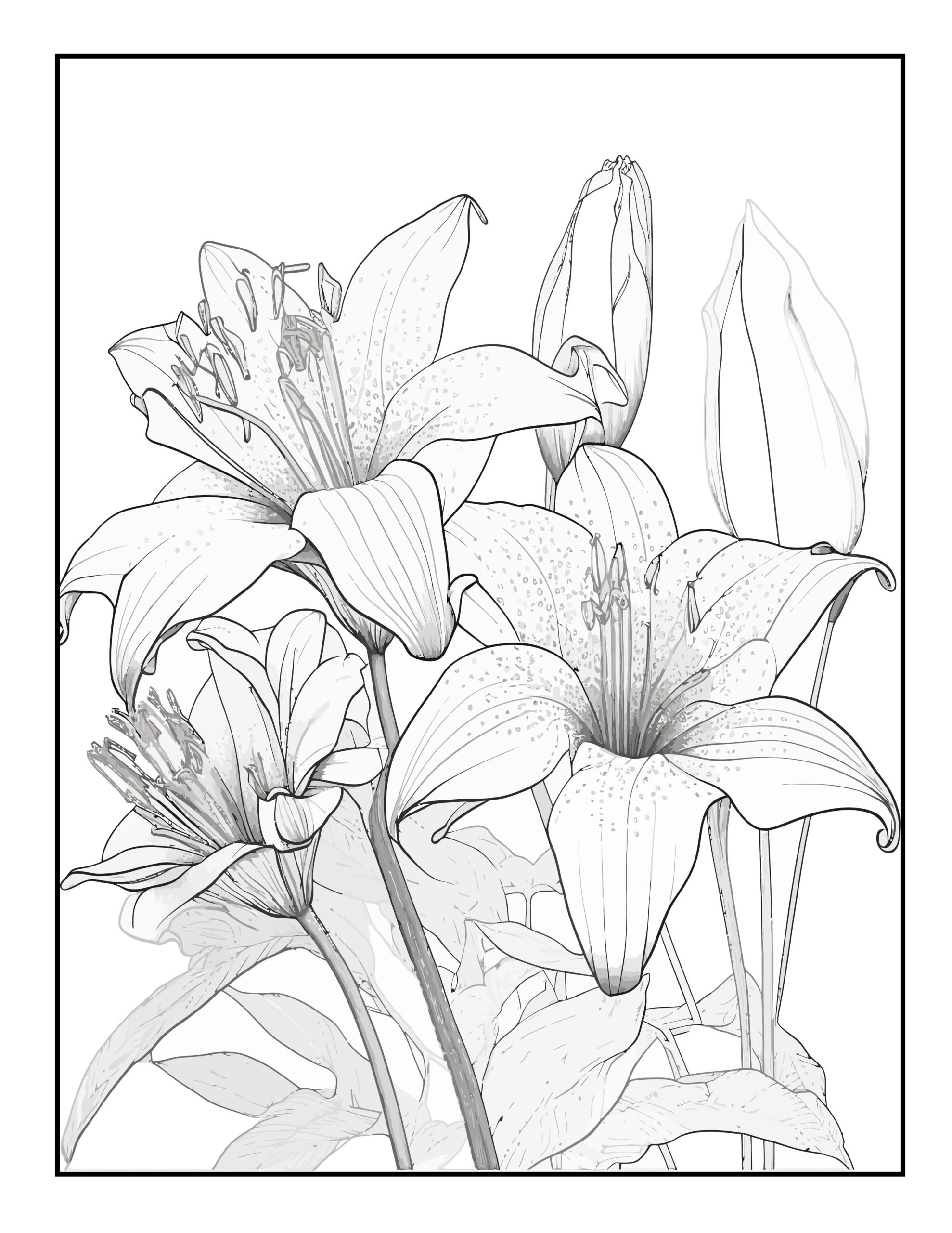 Relax and Unleash Your Creativity with Our Flowers Coloring Book | Made ...