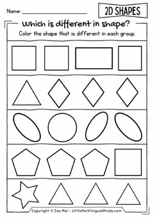 2D and 3D Shapes Sort and Identify Activities Worksheets - Pre-K ...
