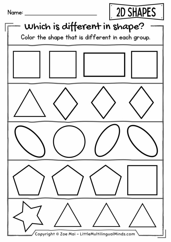 2D and 3D Shapes Sort and Identify Activities Worksheets - Pre-K ...