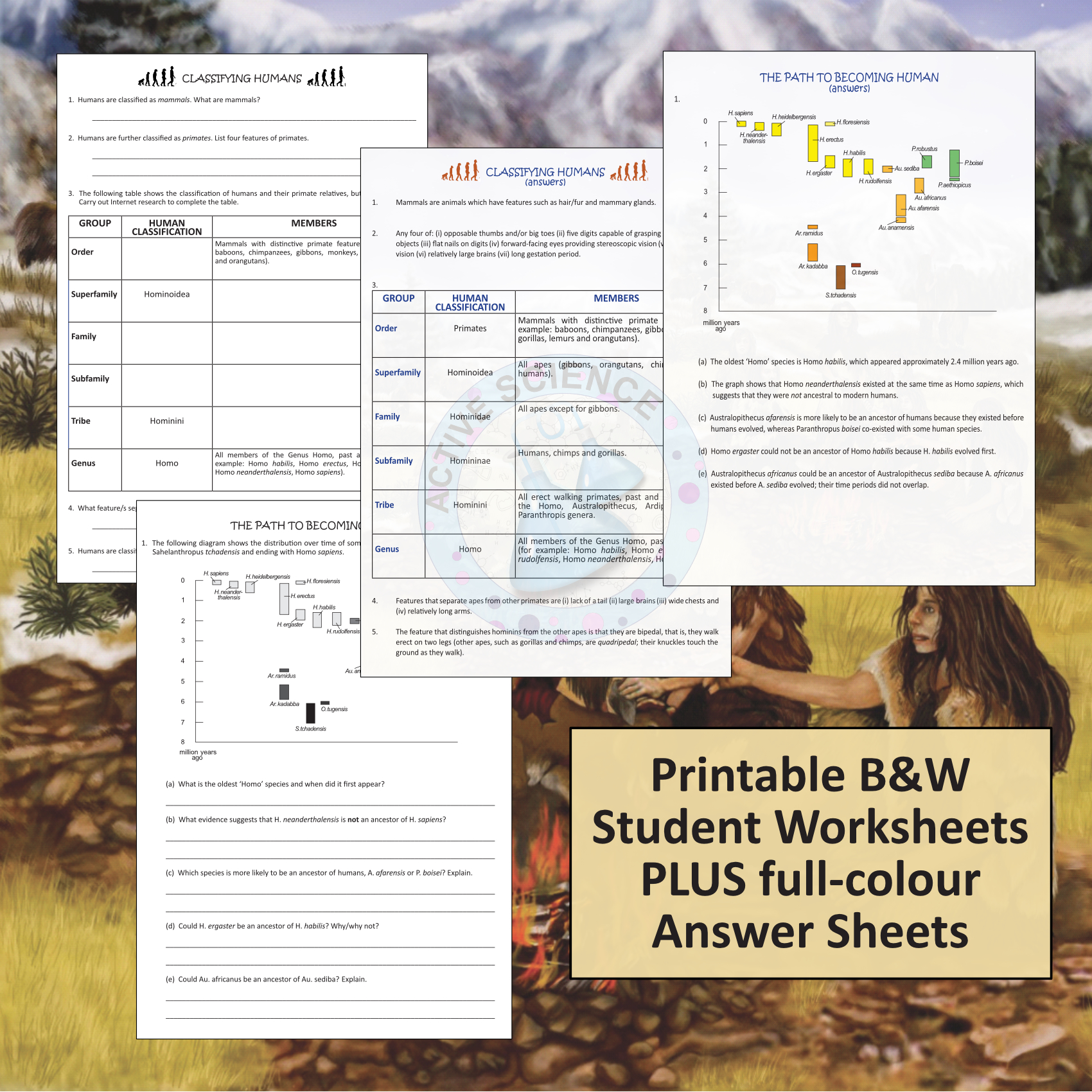 Human Evolution | Made By Teachers