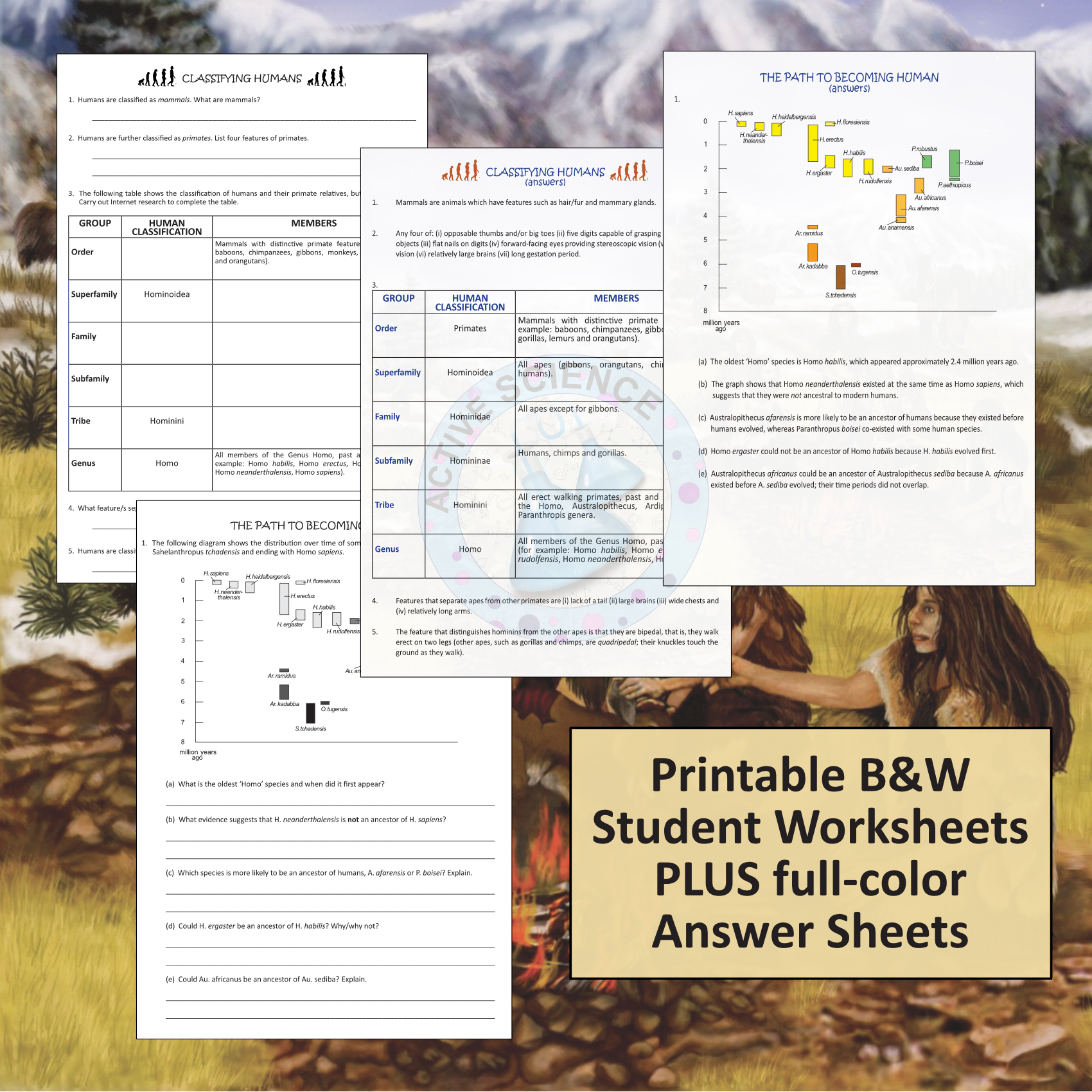 Human Evolution (US edition) | Made By Teachers