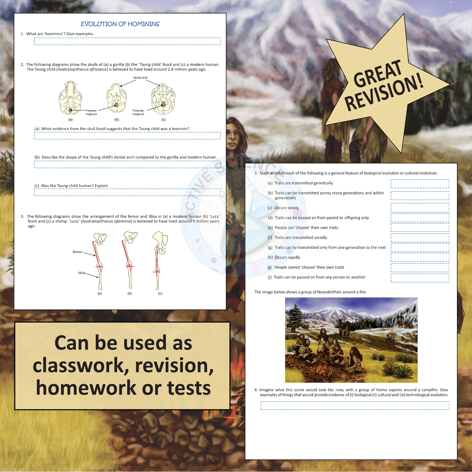 Human Evolution (US edition) | Made By Teachers