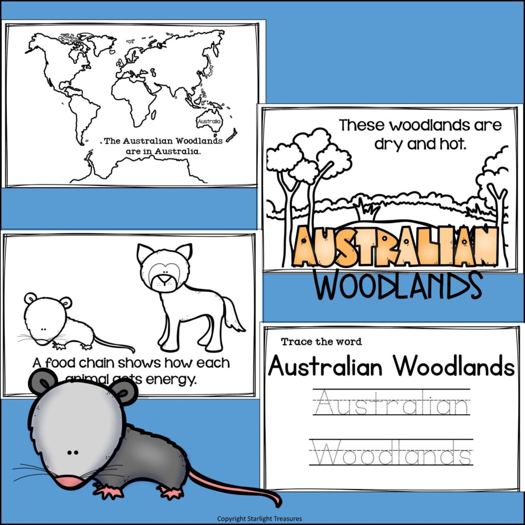 Australian Woodlands Food Chain Mini Book for Early Readers - Food ...