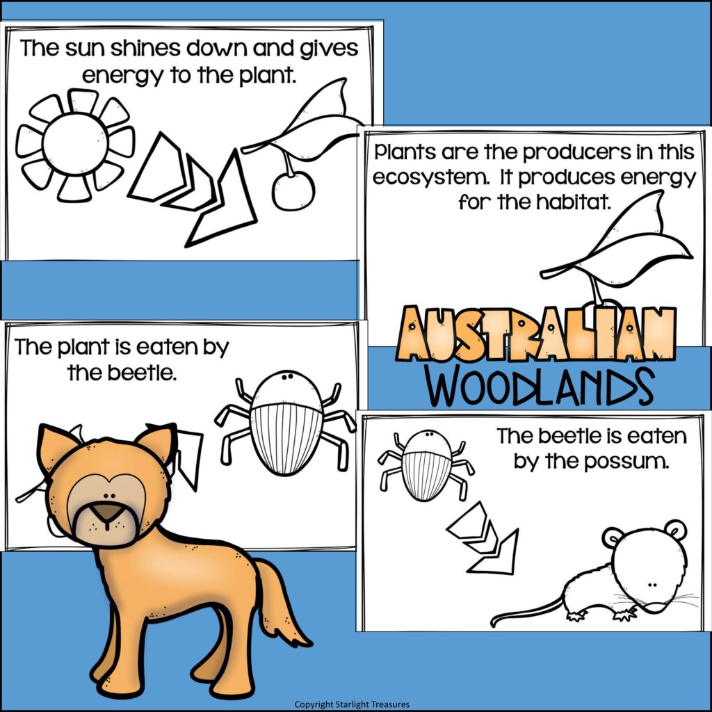 Australian Woodlands Food Chain Mini Book for Early Readers - Food ...