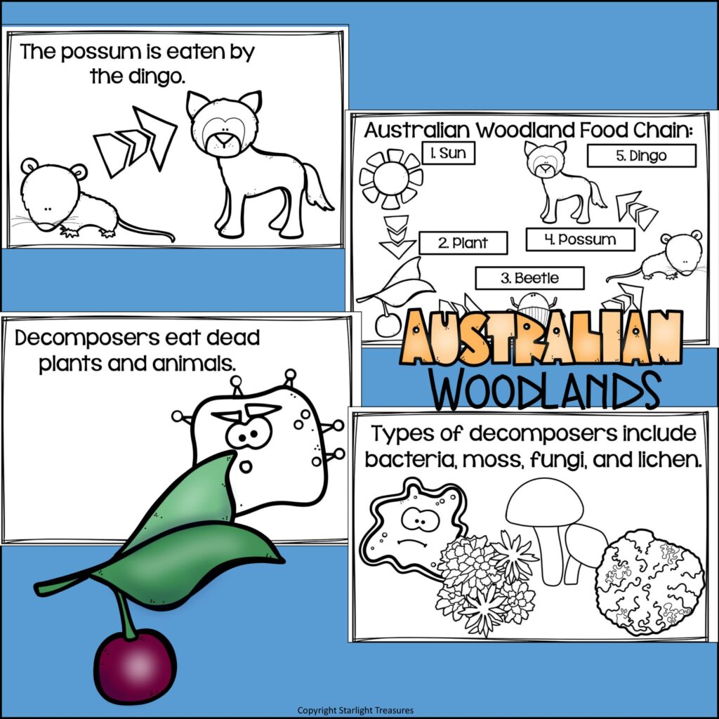 Australian Woodlands Food Chain Mini Book for Early Readers - Food ...