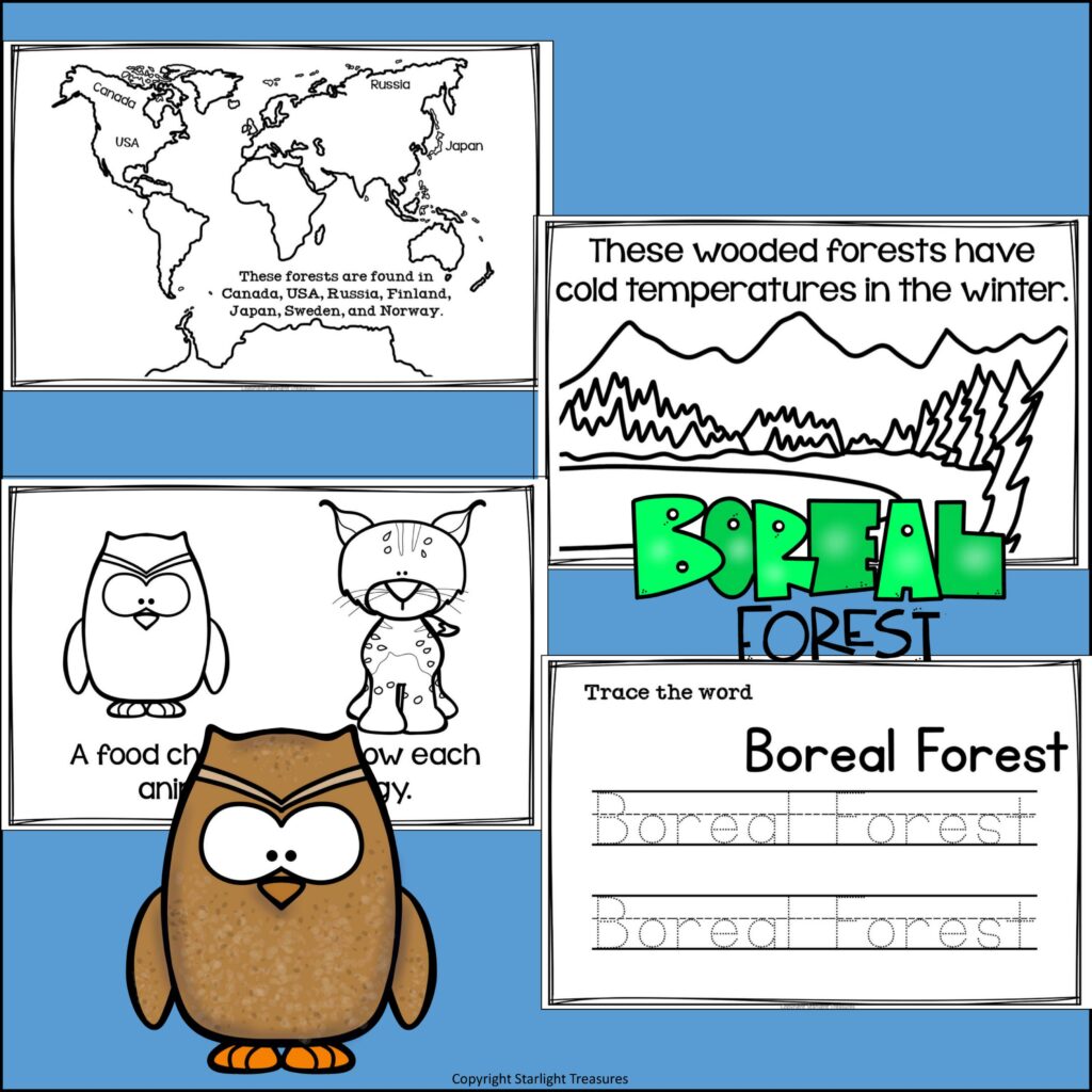 Boreal Forest Food Chain Mini Book for Early Readers - Food Chains ...