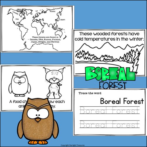 Boreal Forest Food Chain Mini Book for Early Readers - Food Chains ...