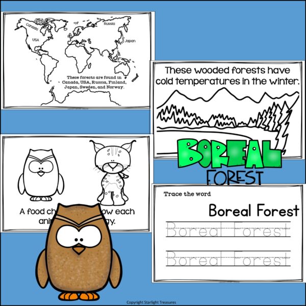 Boreal Forest Food Chain Mini Book for Early Readers - Food Chains ...