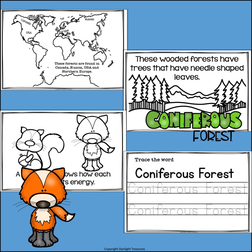 Coniferous Forest Food Chain Mini Book for Early Readers - Food Chains ...