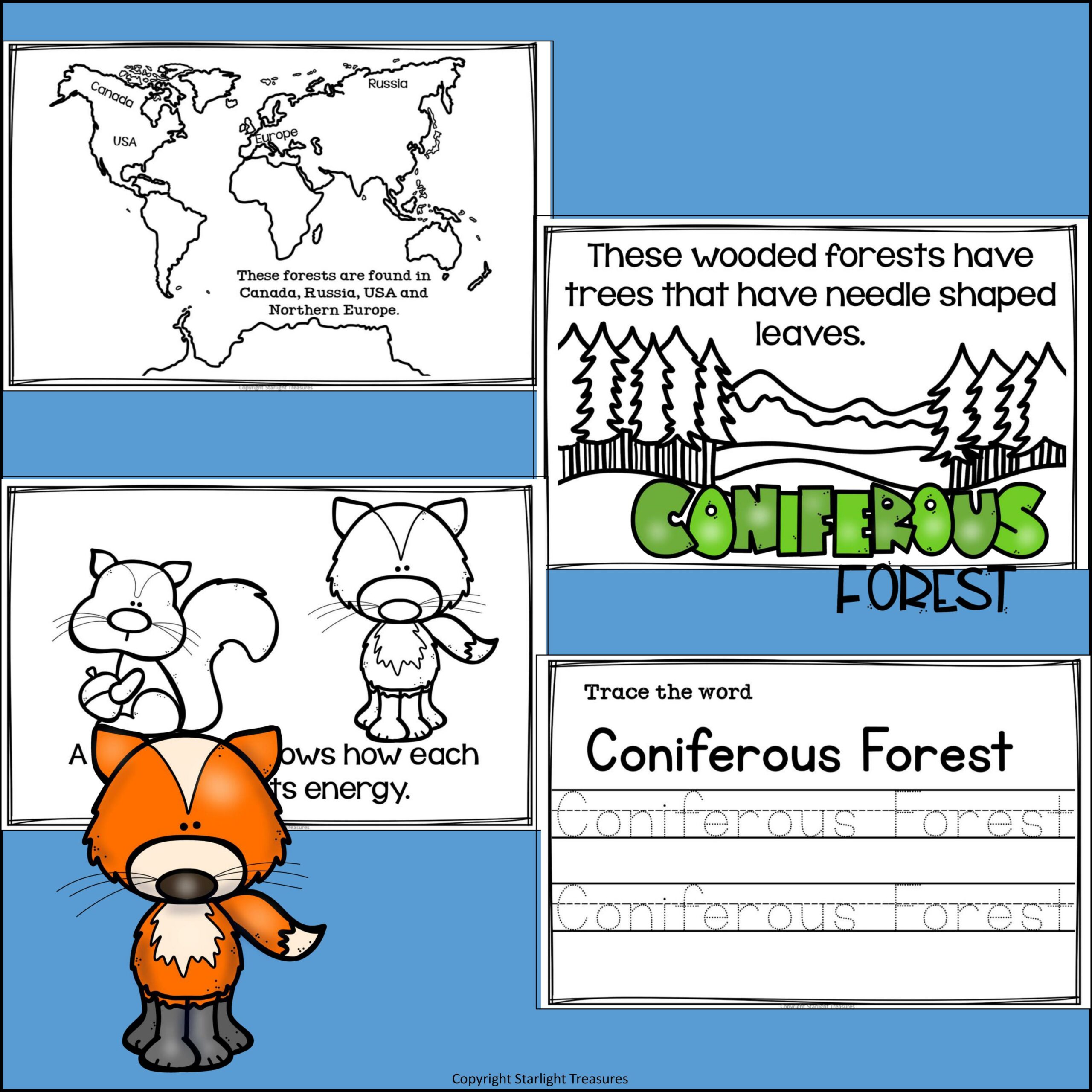 Coniferous Forest Food Chain Mini Book for Early Readers - Food Chains ...