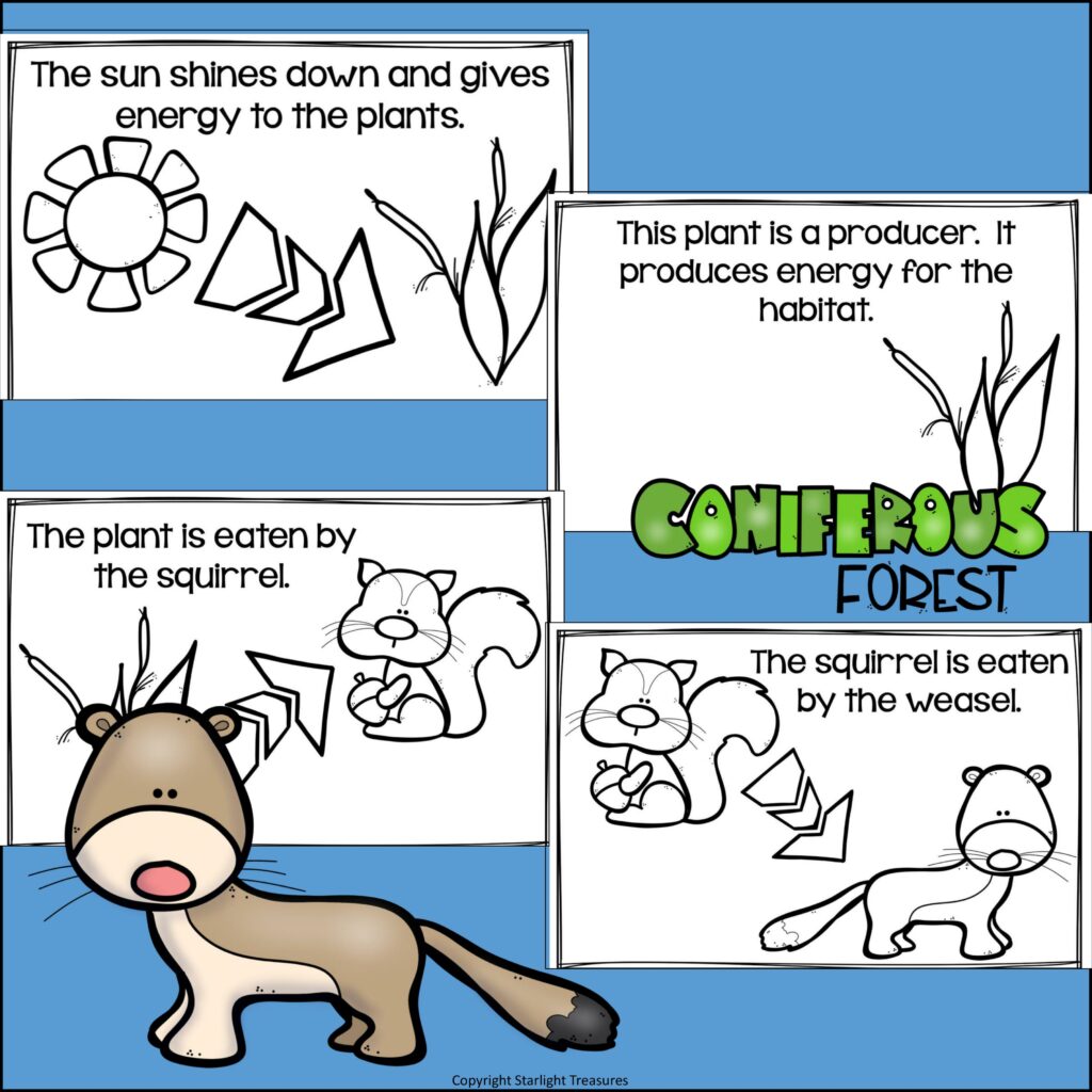 Coniferous Forest Food Chain Mini Book for Early Readers - Food Chains ...