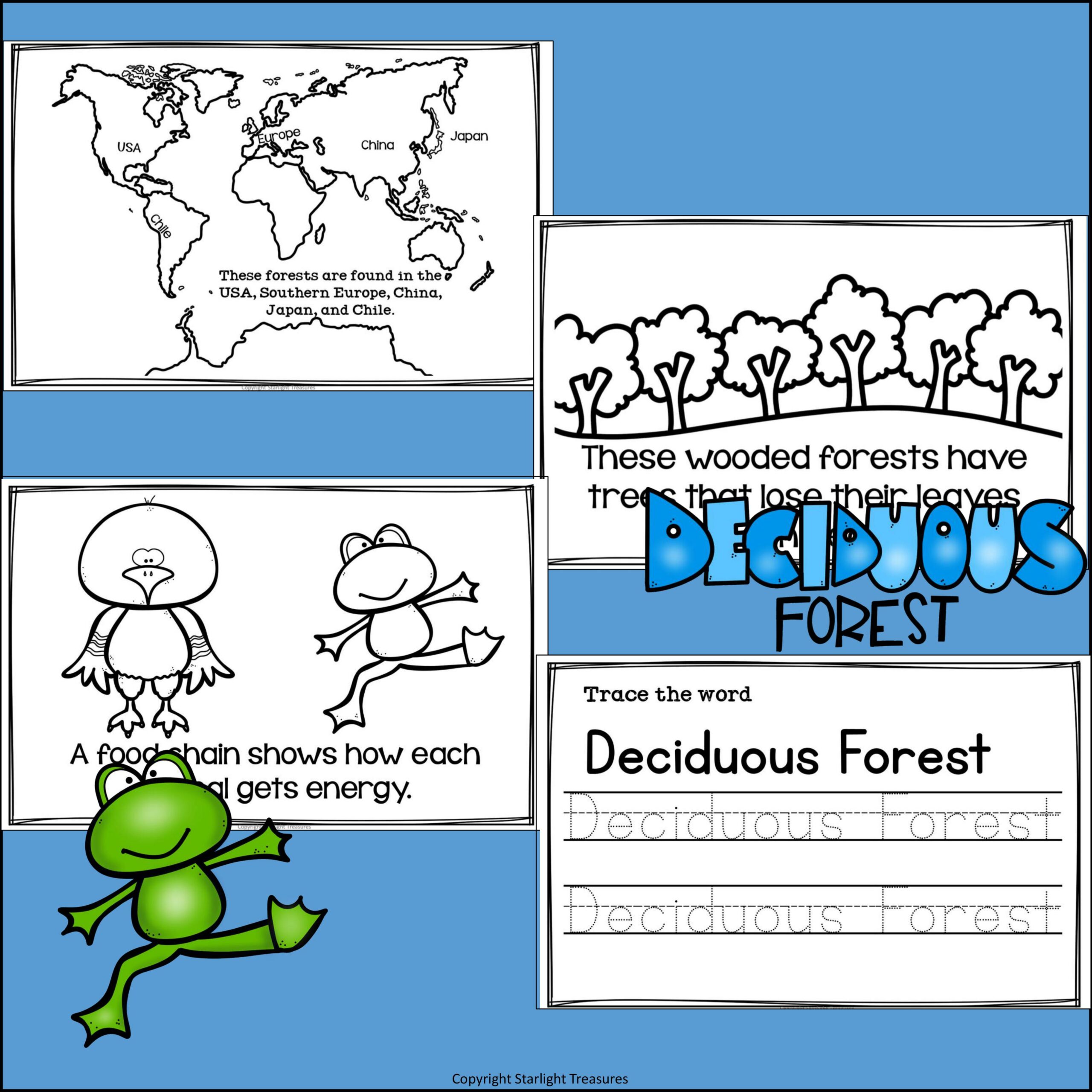 Deciduous Forest Food Chain Mini Book for Early Readers - Food Chains ...