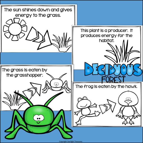 Deciduous Forest Food Chain Mini Book for Early Readers - Food Chains ...