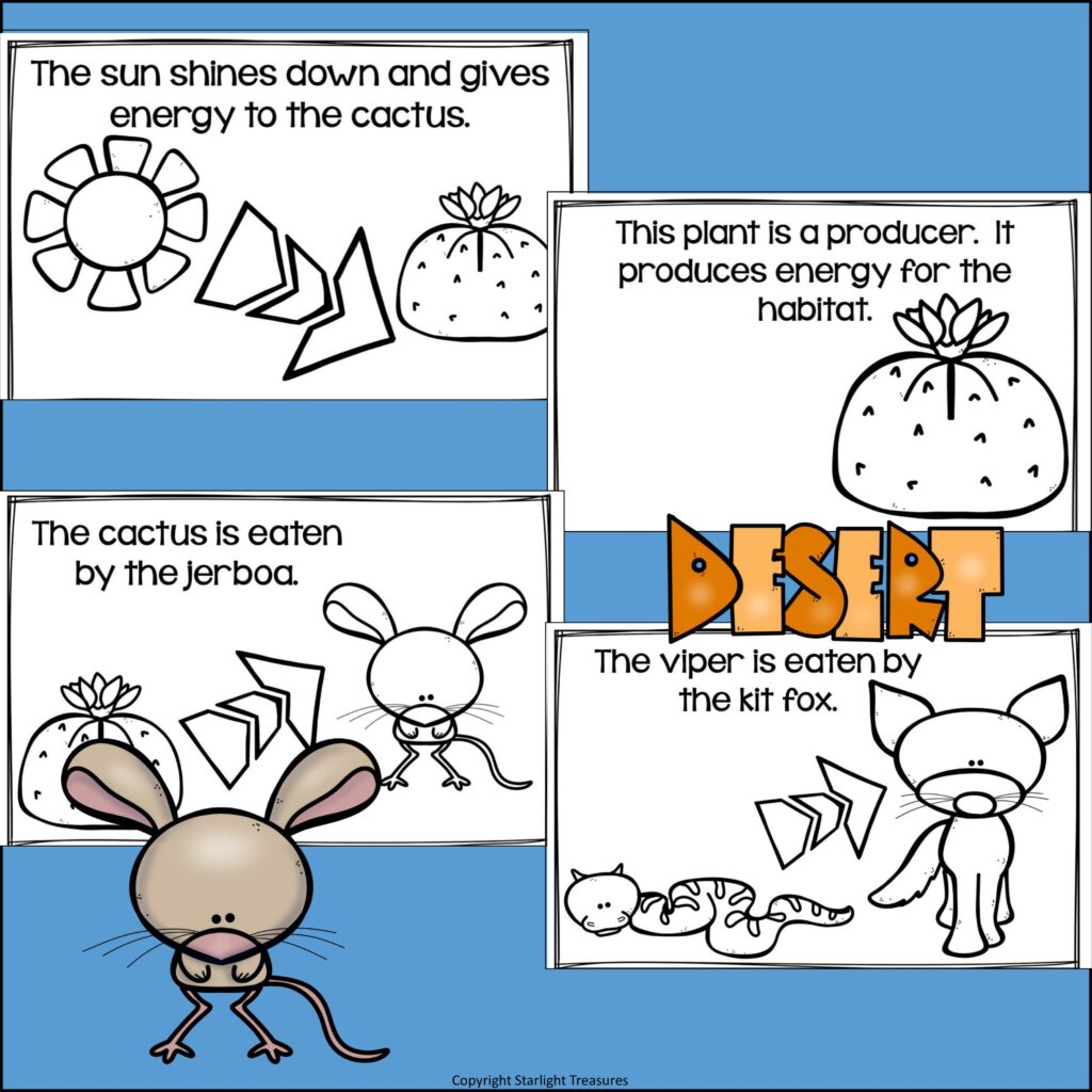 Desert Food Chain Mini Book for Early Readers - Food Chains | Made By ...