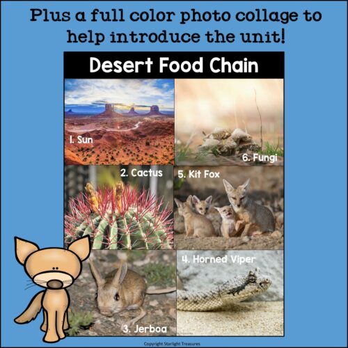 Desert Food Chain Mini Book for Early Readers - Food Chains | Made By ...