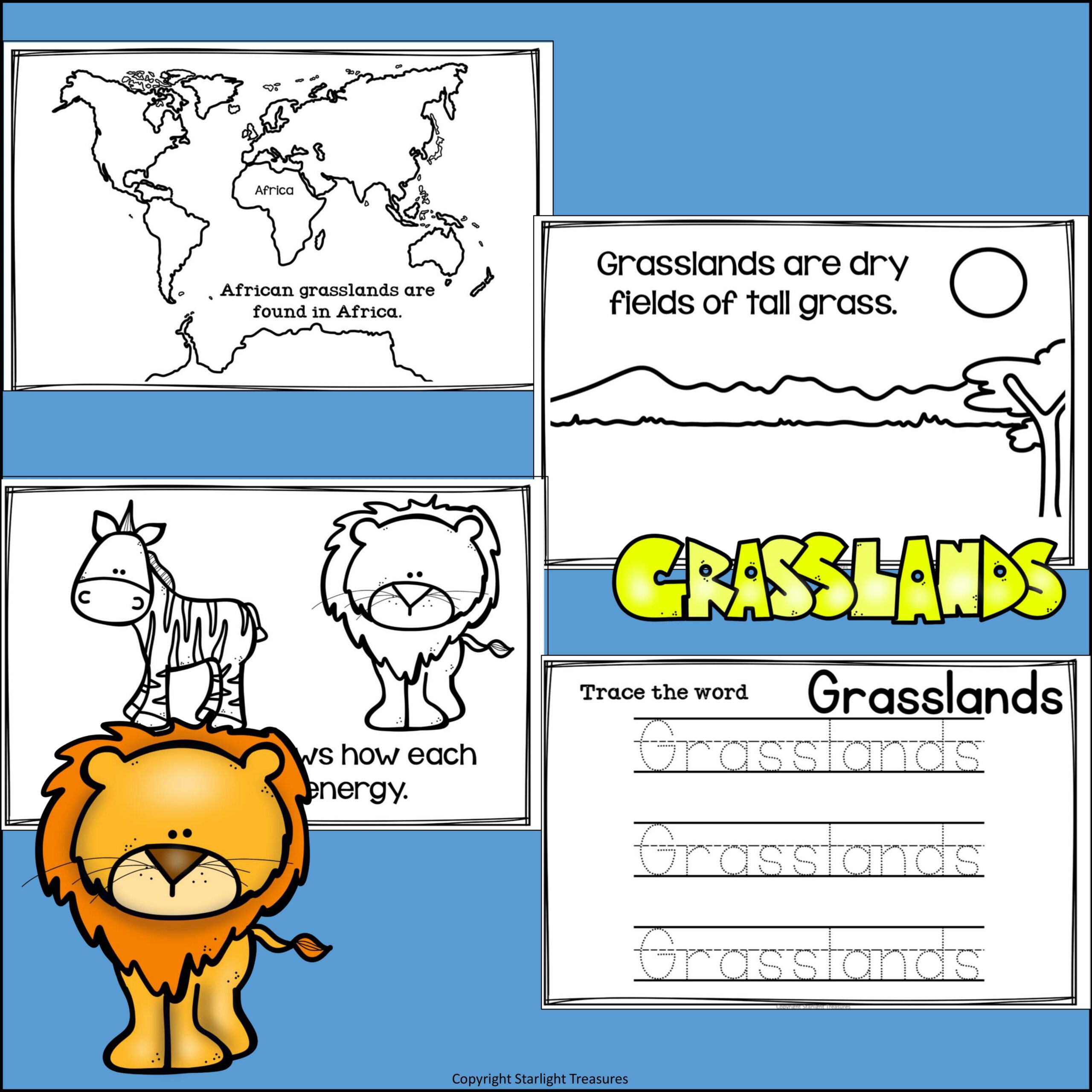 Grasslands Food Chain Mini Book for Early Readers - Food Chains | Made ...