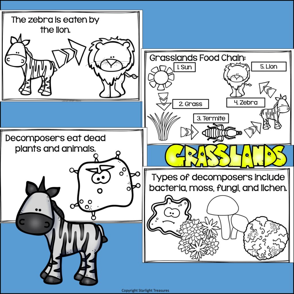 Grasslands Food Chain Mini Book for Early Readers - Food Chains | Made ...