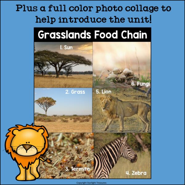 Grasslands Food Chain Mini Book for Early Readers - Food Chains | Made ...
