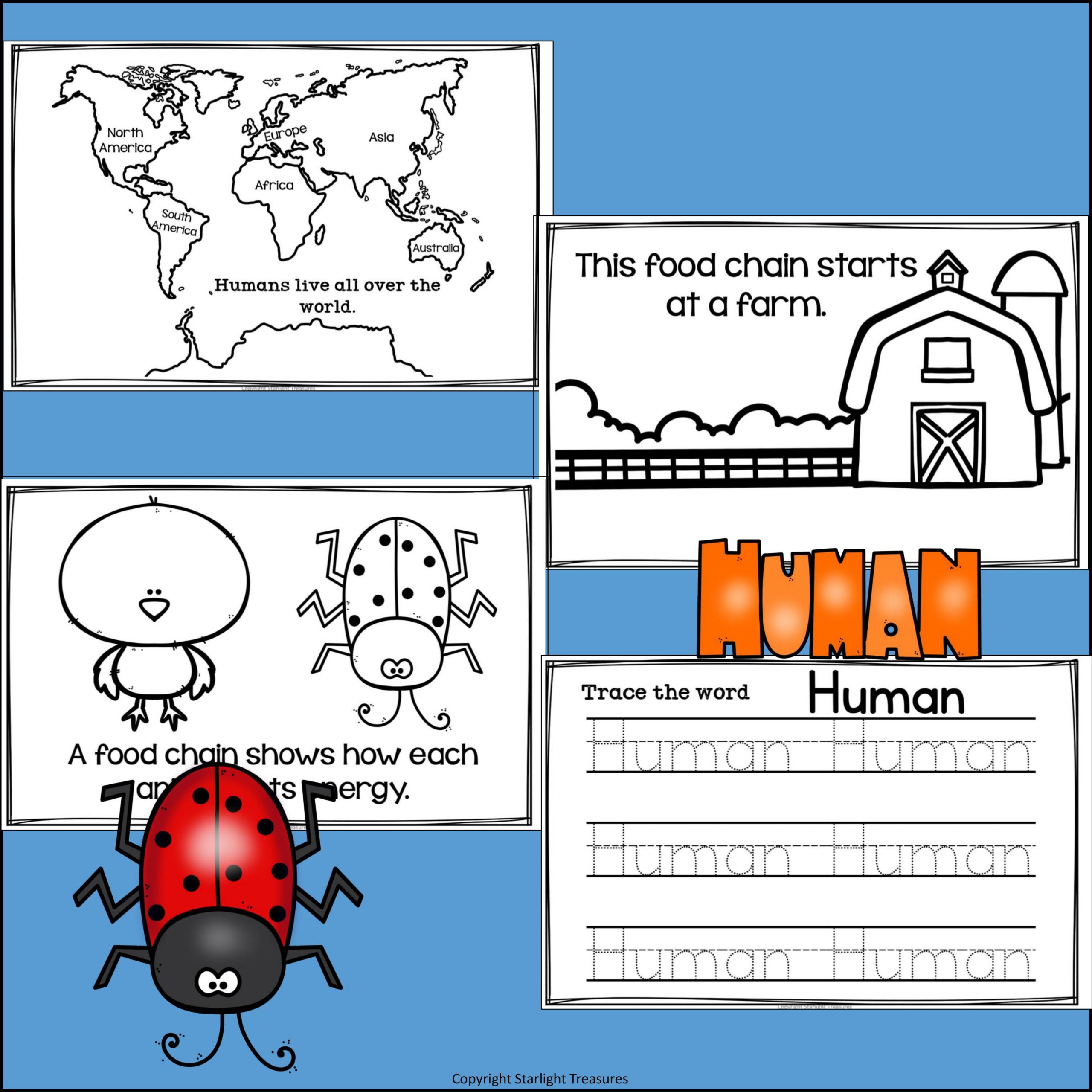 Human Food Chain Mini Book for Early Readers - Food Chains | Made By ...