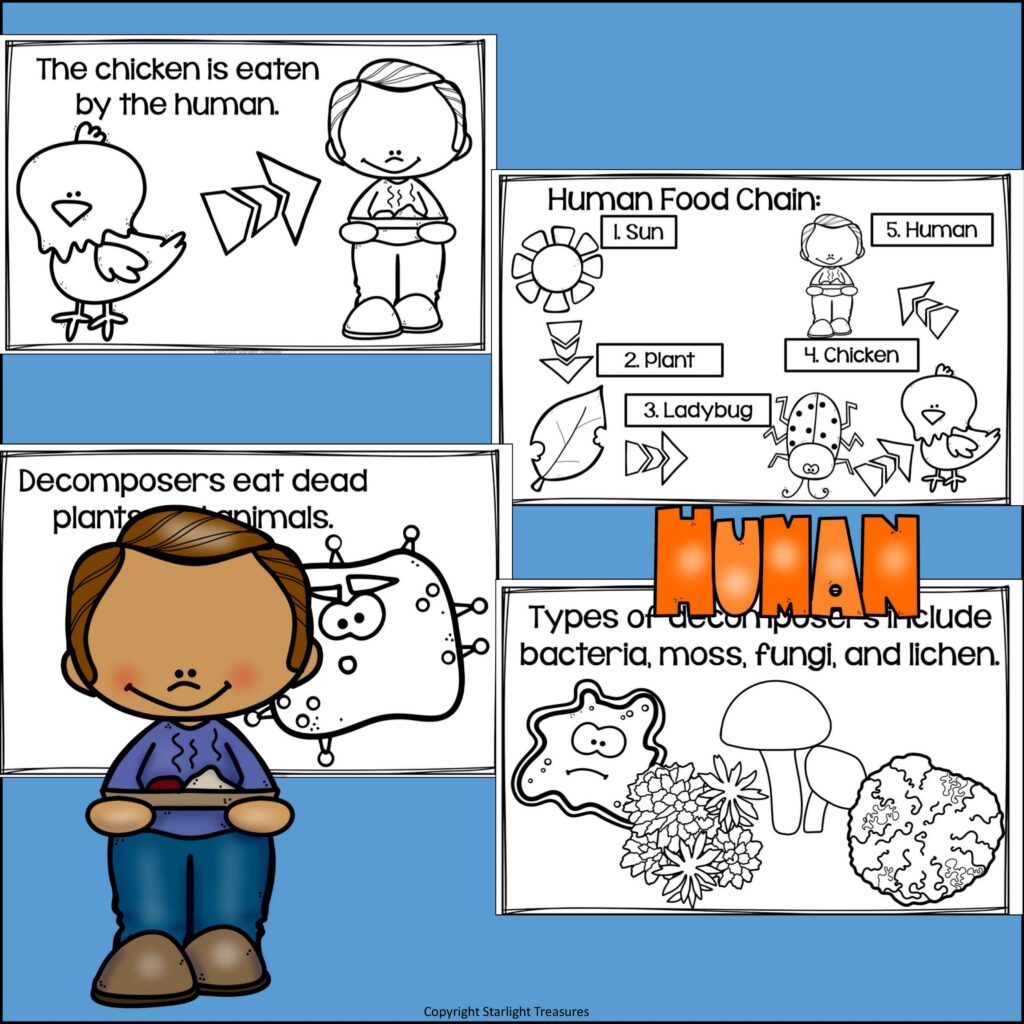 Human Food Chain Mini Book for Early Readers - Food Chains | Made By ...