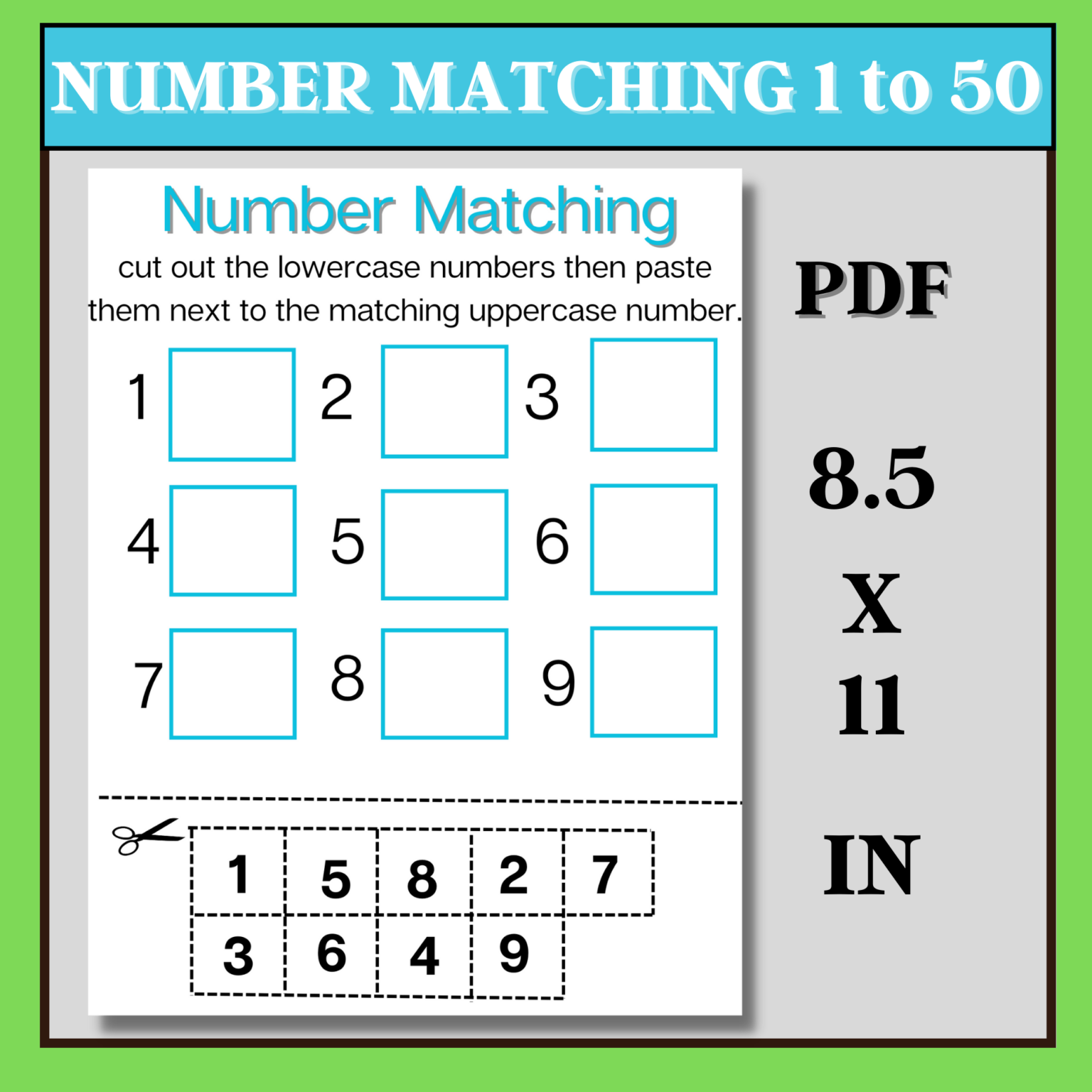 NUBBERS MATCHING THE 1 TO 50 | Made By Teachers