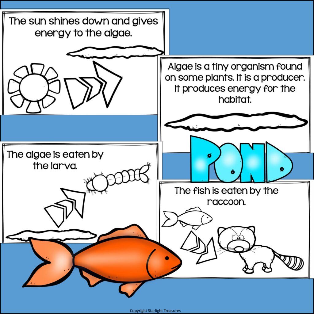 Pond Food Chain Mini Book for Early Readers - Food Chains | Made By ...