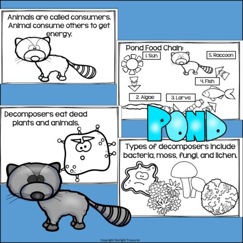 Pond Food Chain Mini Book for Early Readers - Food Chains | Made By ...