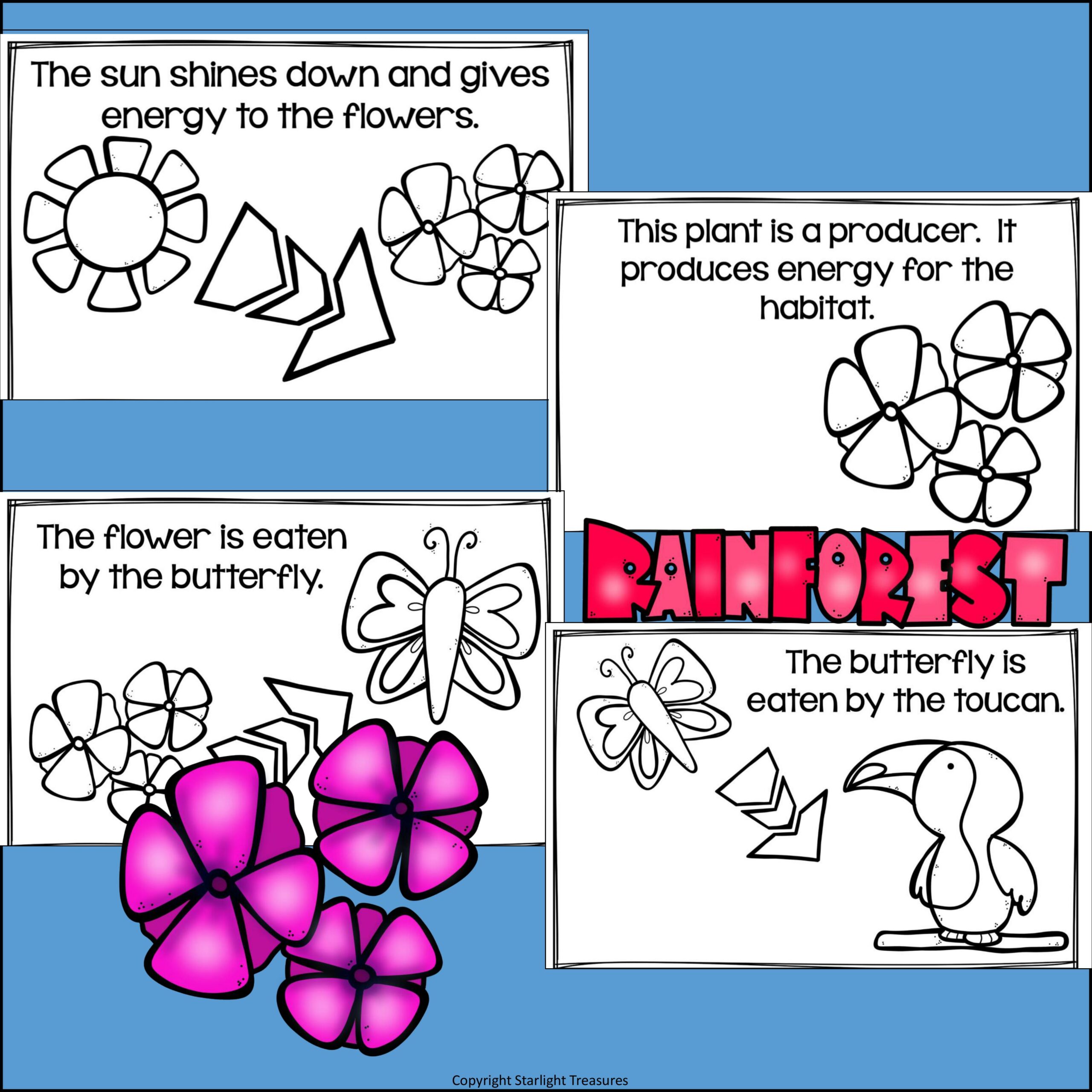 Rainforest Food Chain Mini Book for Early Readers - Food Chains | Made ...