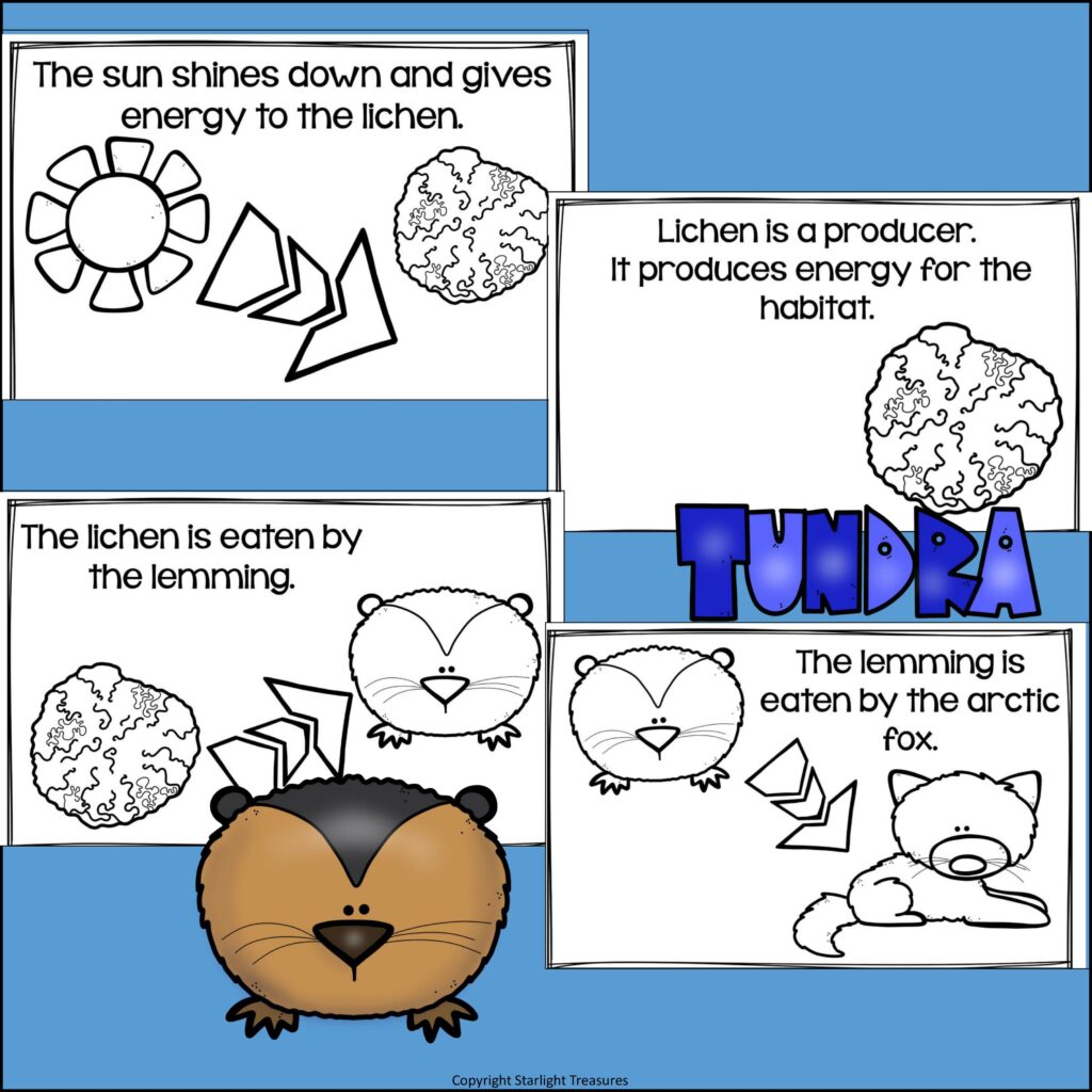 Tundra Food Chain Mini Book for Early Readers - Food Chains | Made By ...