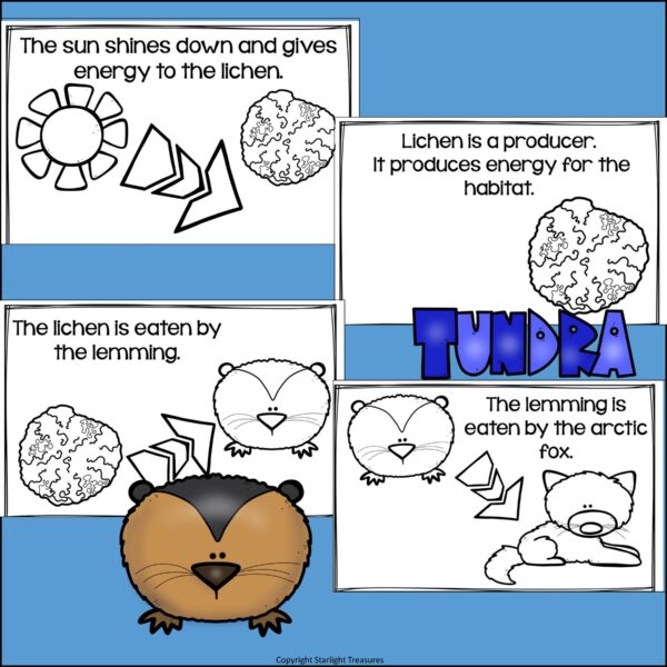 Tundra Food Chain Mini Book for Early Readers - Food Chains | Made By ...