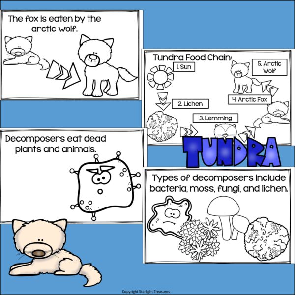 Tundra Food Chain Mini Book for Early Readers - Food Chains | Made By ...