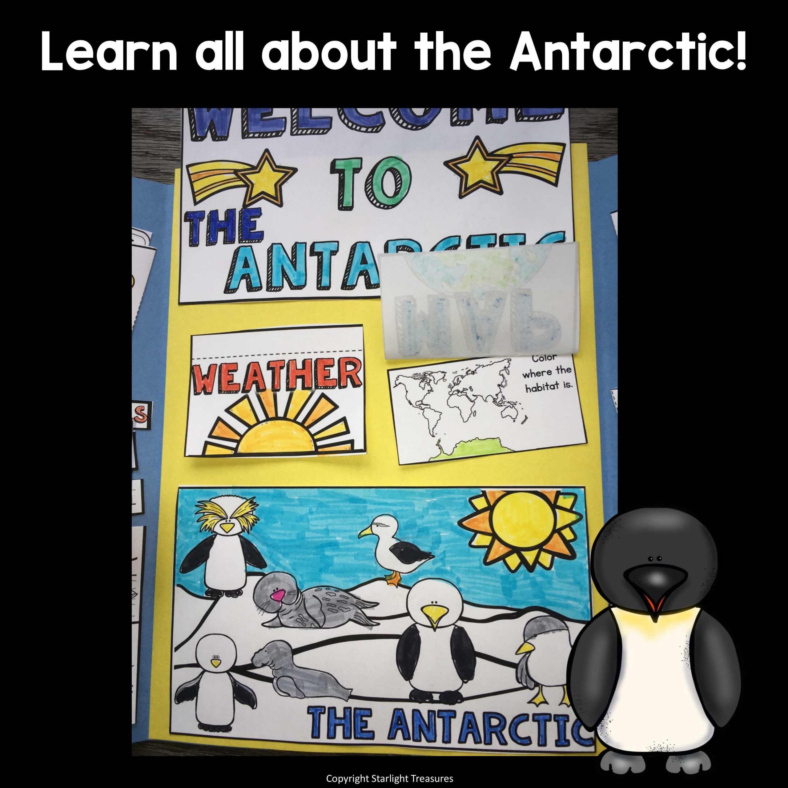 Antarctic Lapbook for Early Learners - Animal Habitats | Made By Teachers