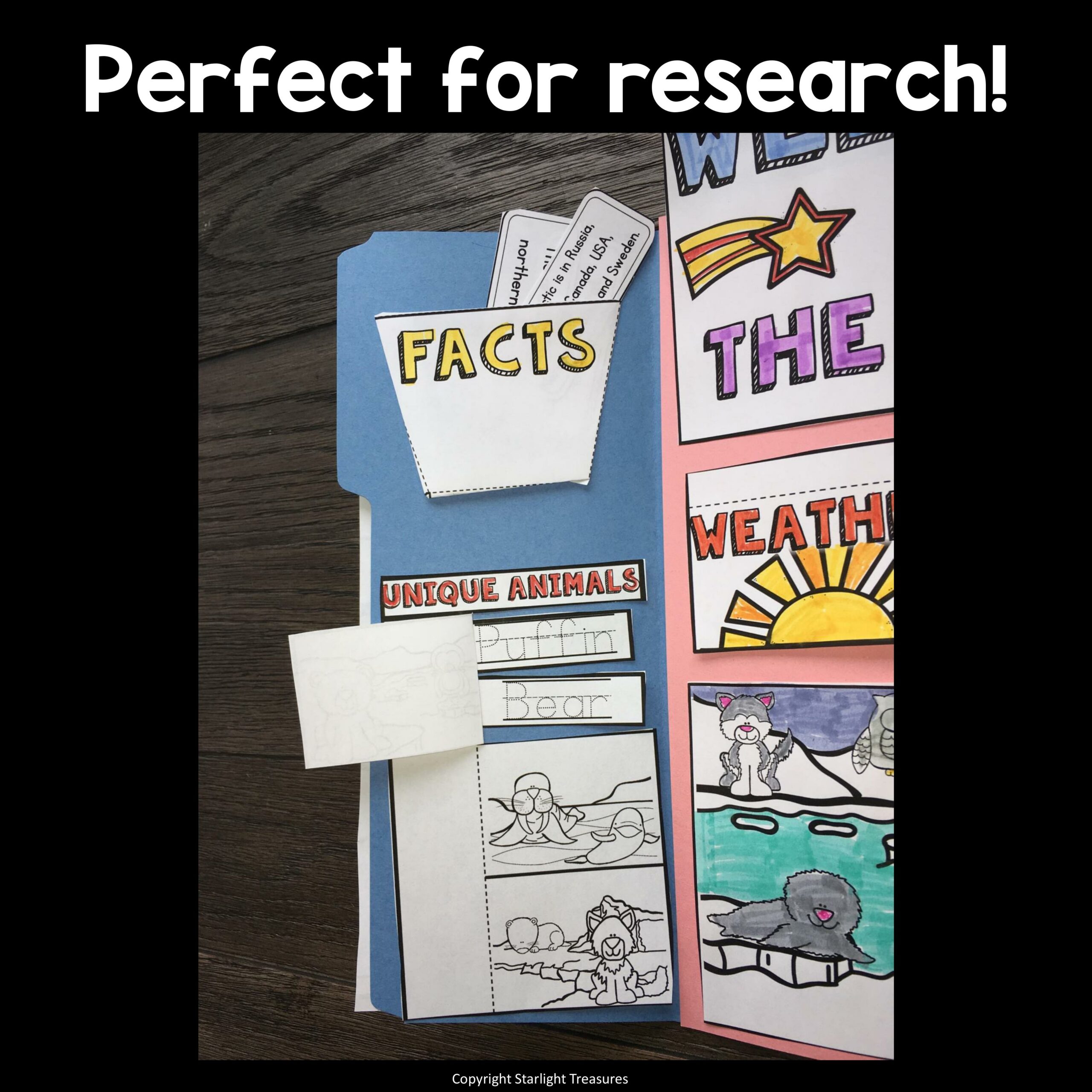 Arctic Lapbook for Early Learners - Animal Habitats | Made By Teachers