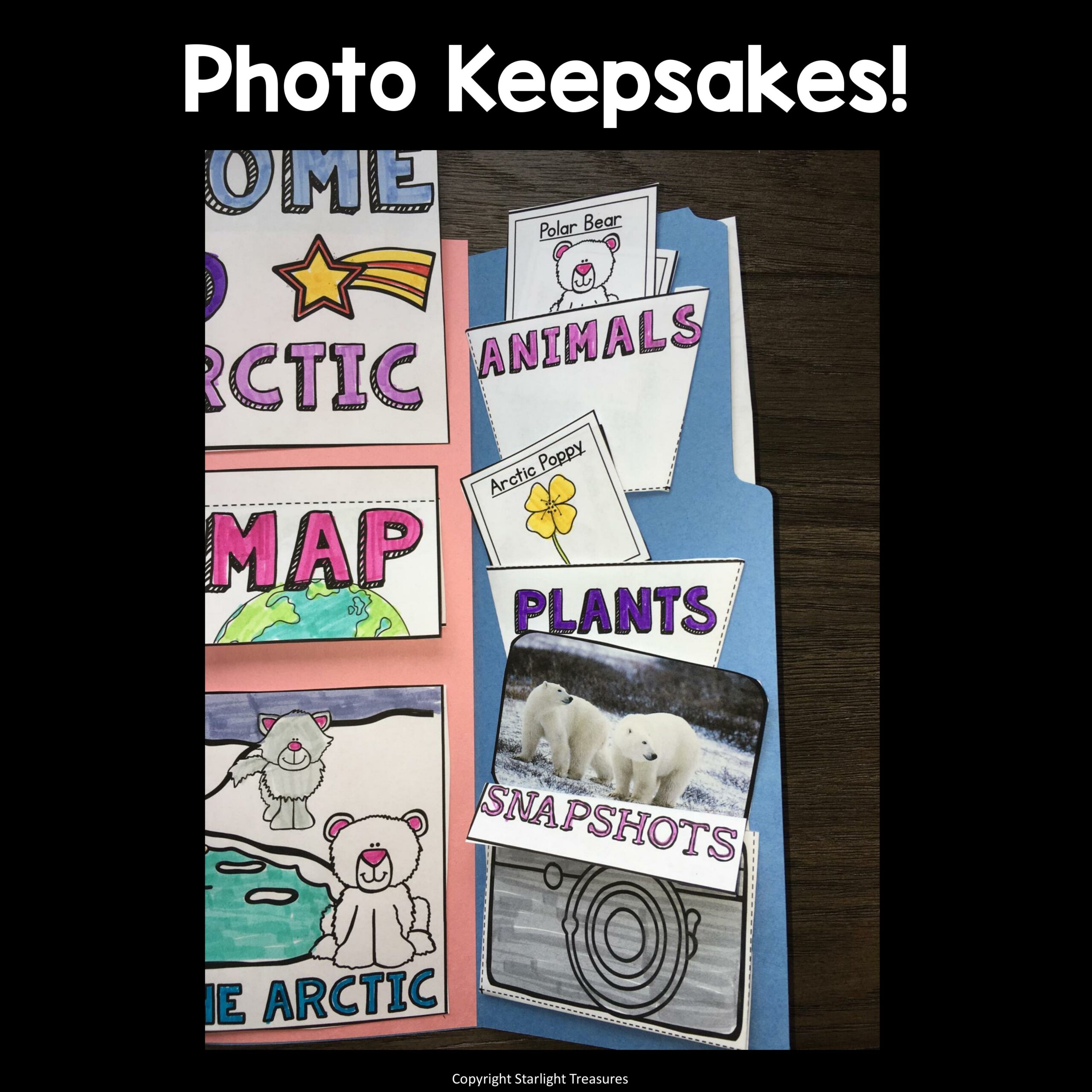 Arctic Lapbook for Early Learners - Animal Habitats | Made By Teachers