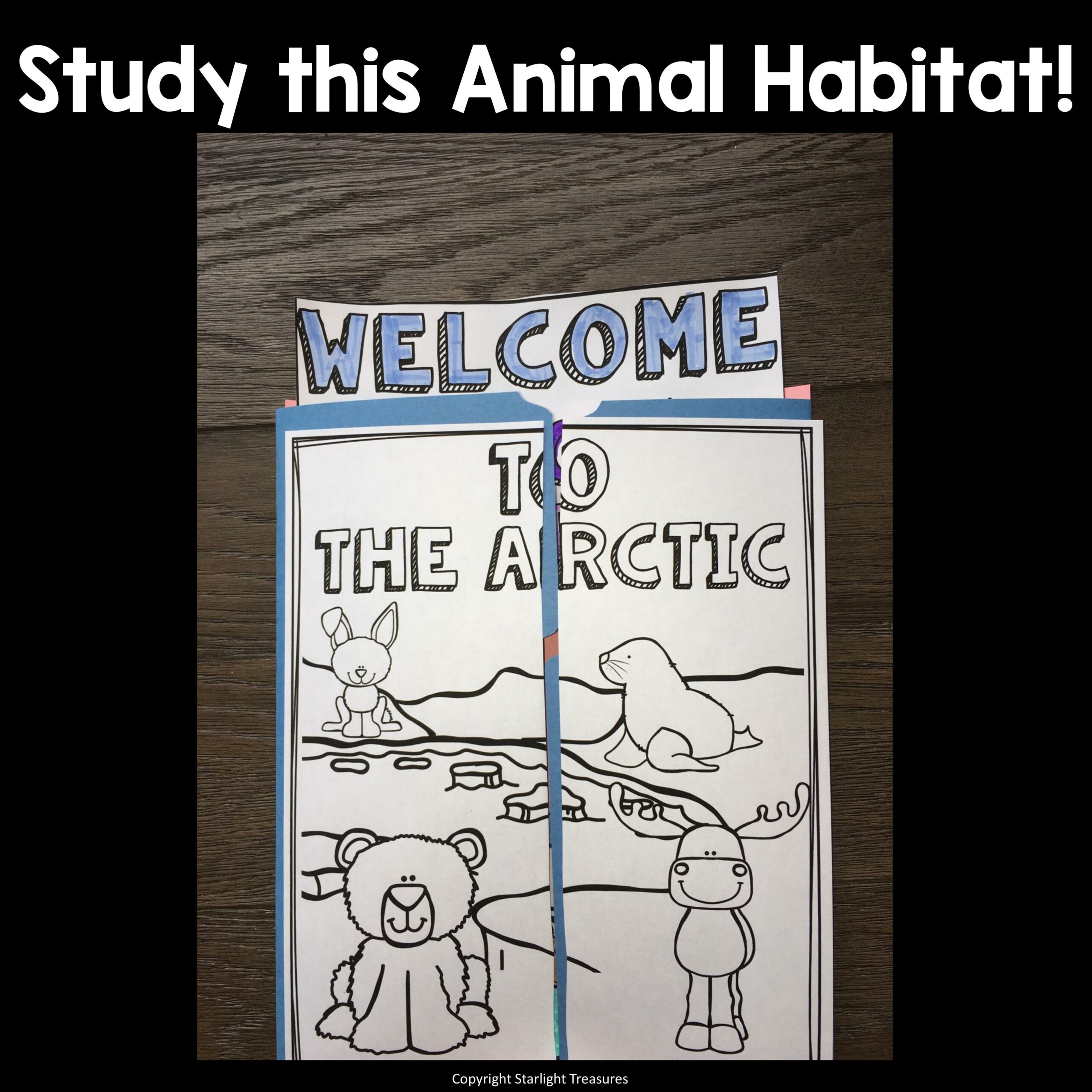 Arctic Lapbook for Early Learners - Animal Habitats | Made By Teachers
