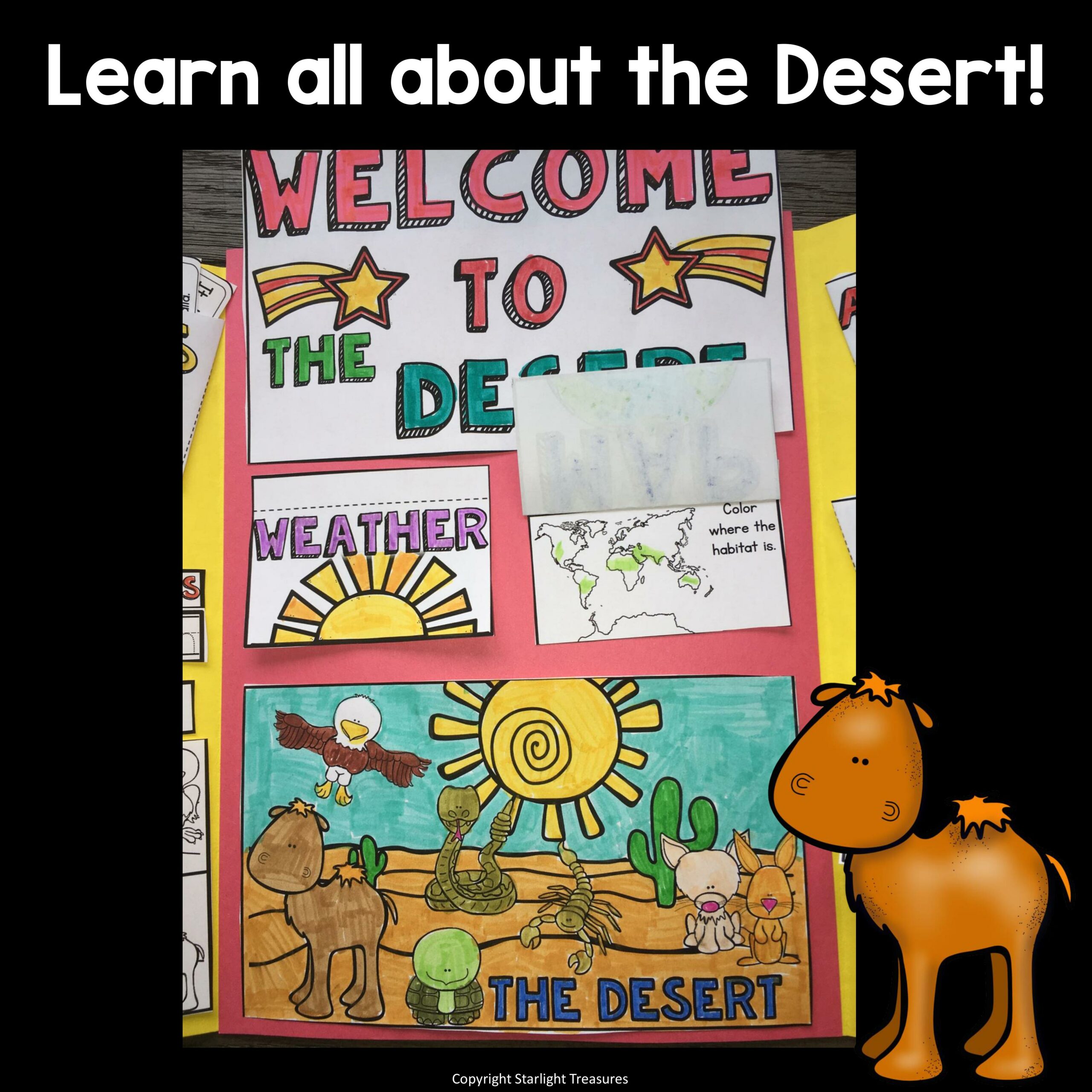 Desert Lapbook for Early Learners - Animal Habitats | Made By Teachers