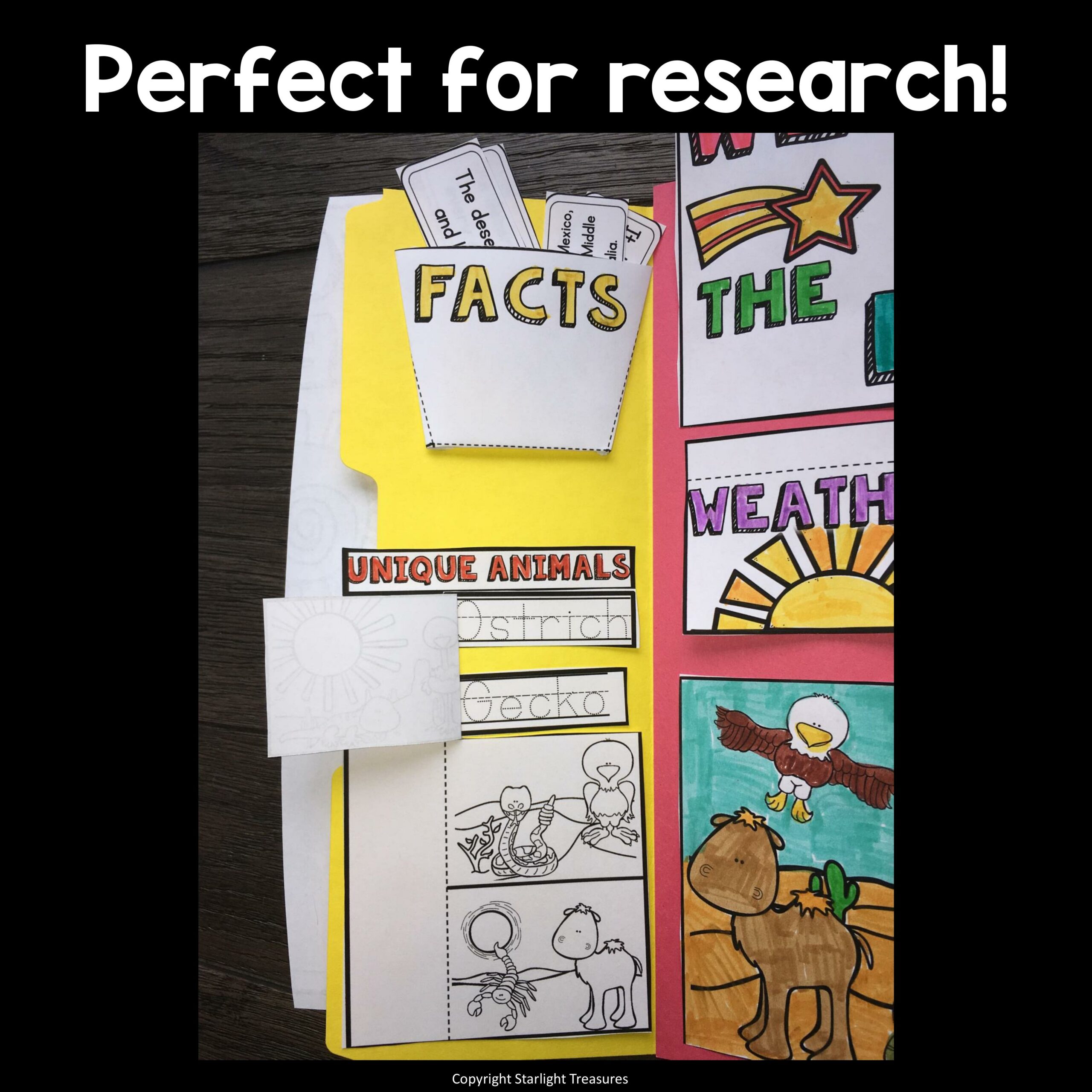 Desert Lapbook for Early Learners - Animal Habitats | Made By Teachers