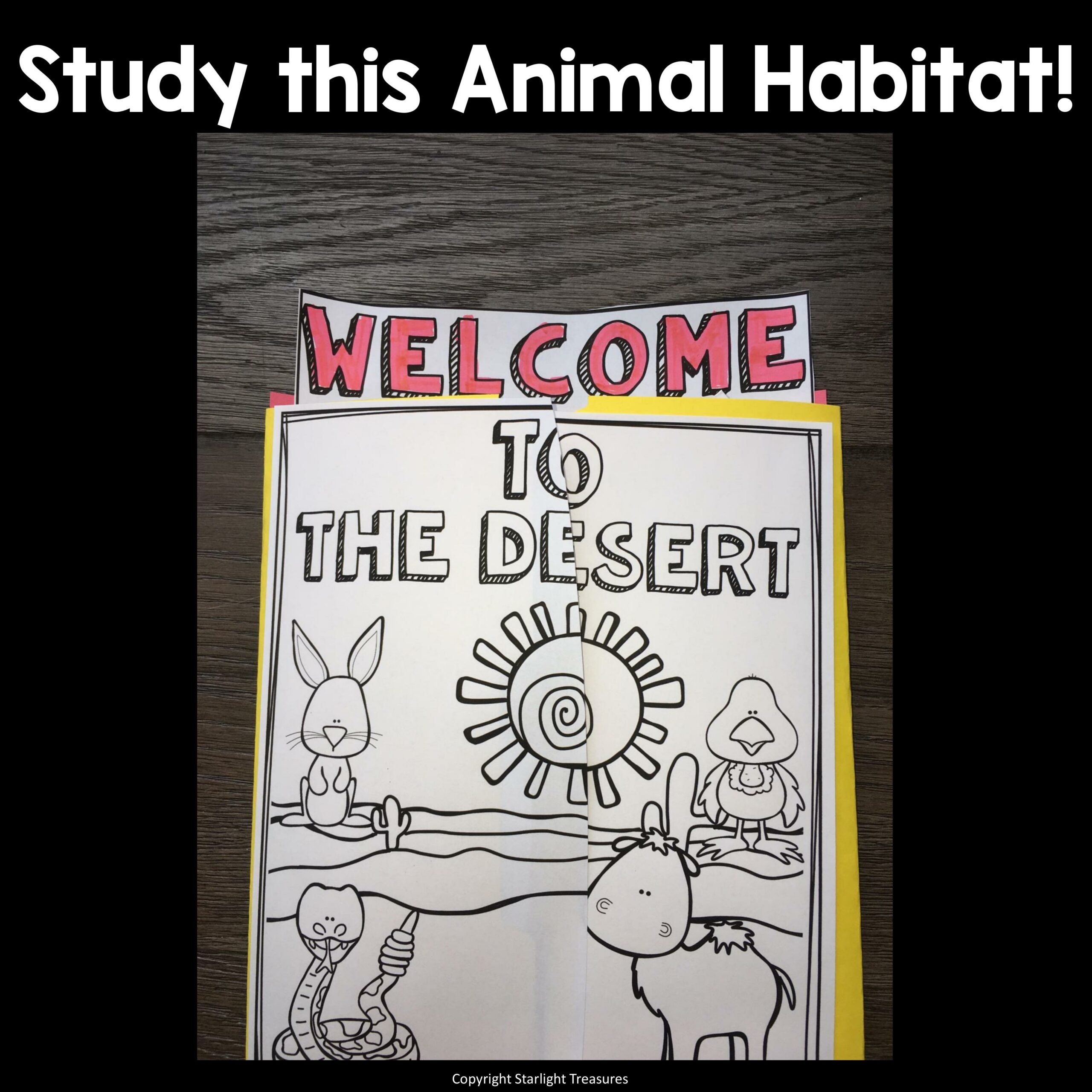 Desert Lapbook for Early Learners - Animal Habitats | Made By Teachers