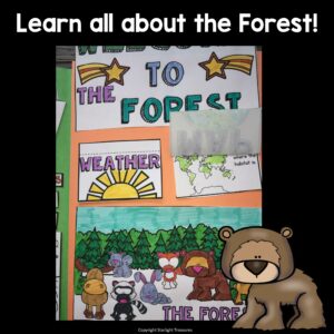 Forest Lapbook for Early Learners - Animal Habitats | Made By Teachers
