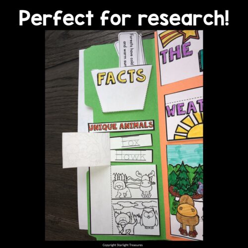 Forest Lapbook for Early Learners - Animal Habitats | Made By Teachers