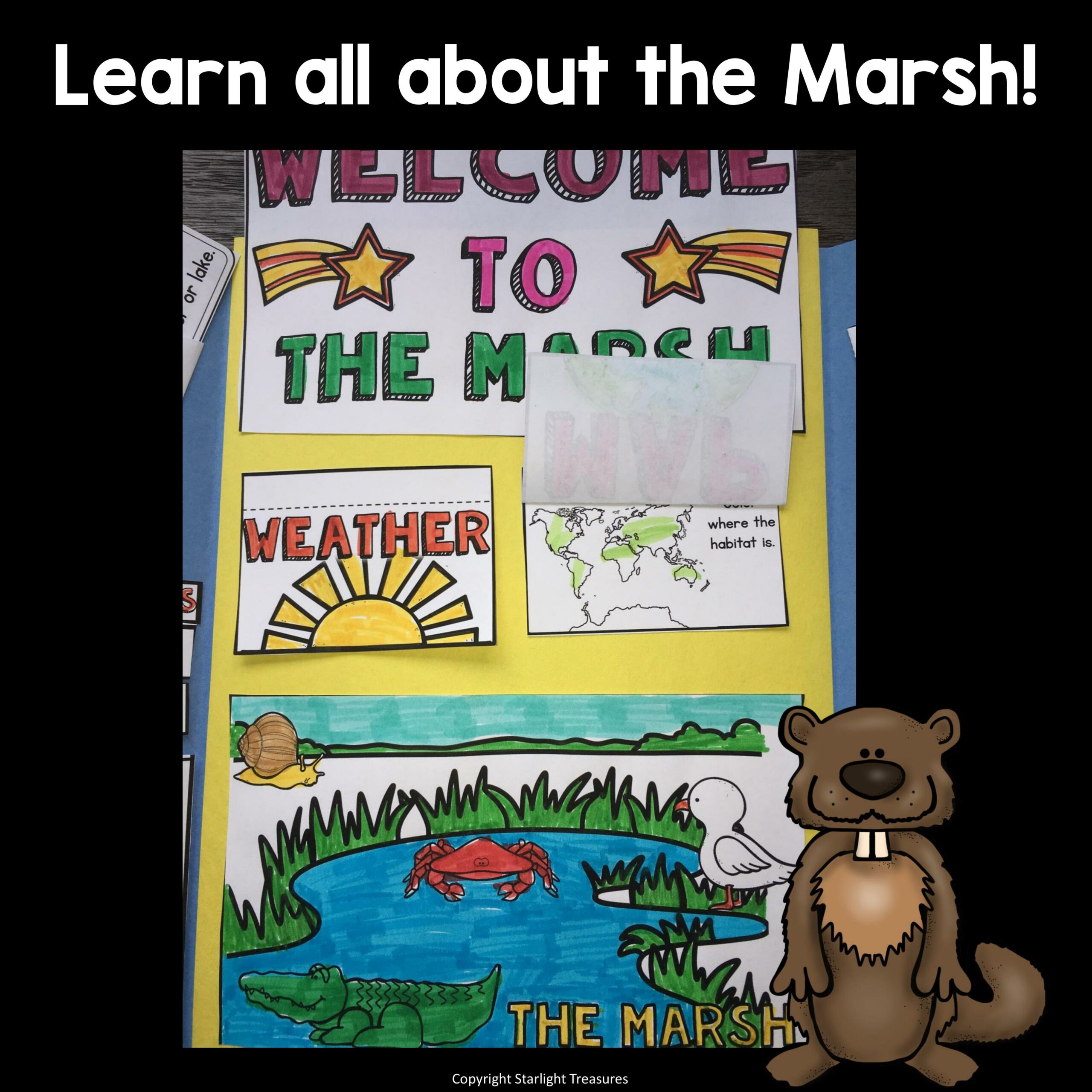 Marsh Lapbook for Early Learners - Animal Habitats | Made By Teachers