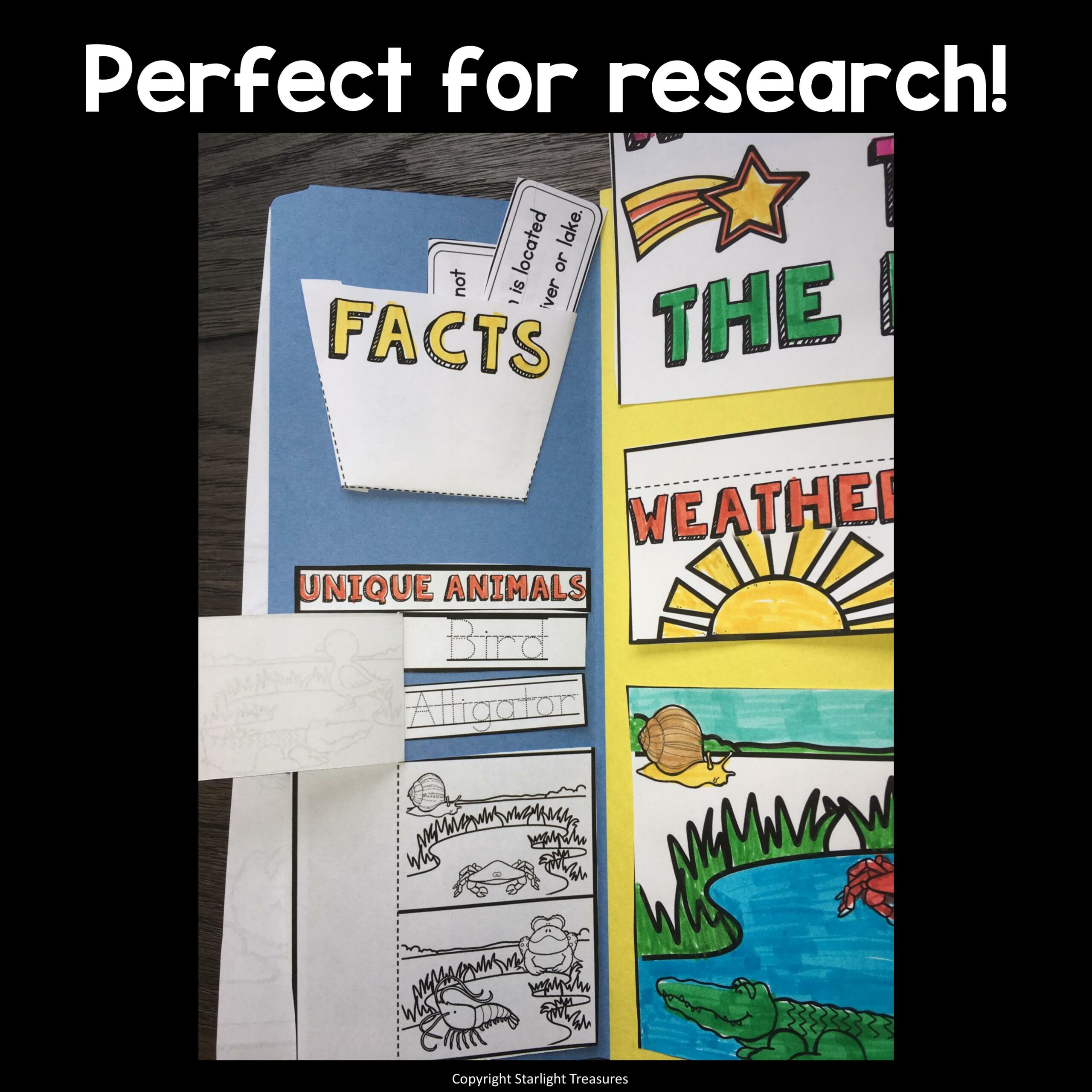 Marsh Lapbook for Early Learners - Animal Habitats | Made By Teachers