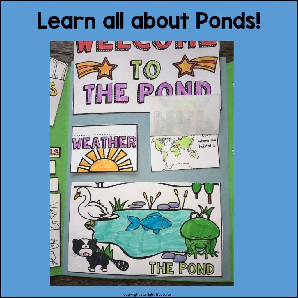 Pond Lapbook for Early Learners - Animal Habitats | Made By Teachers