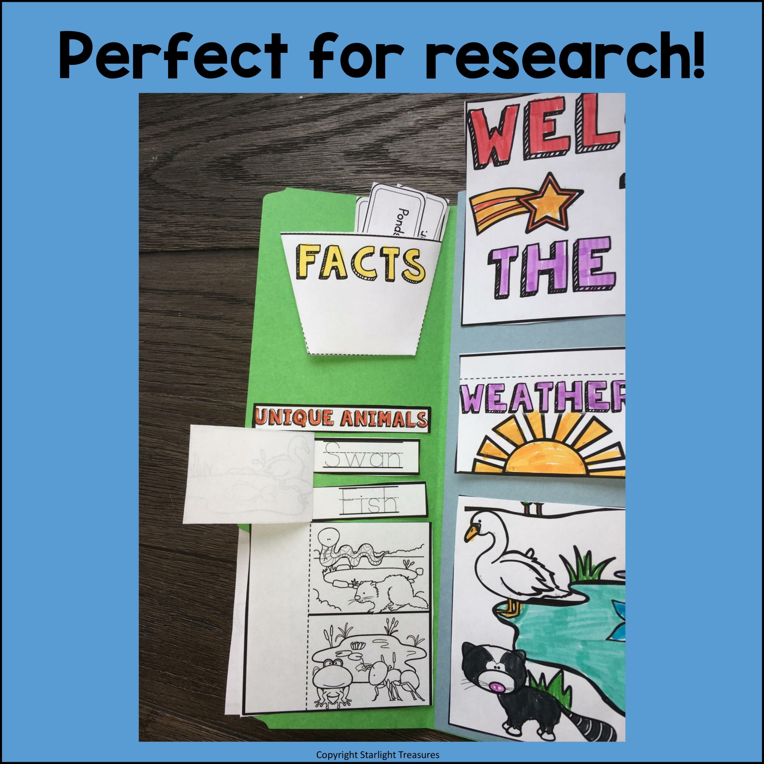 Pond Lapbook for Early Learners - Animal Habitats | Made By Teachers