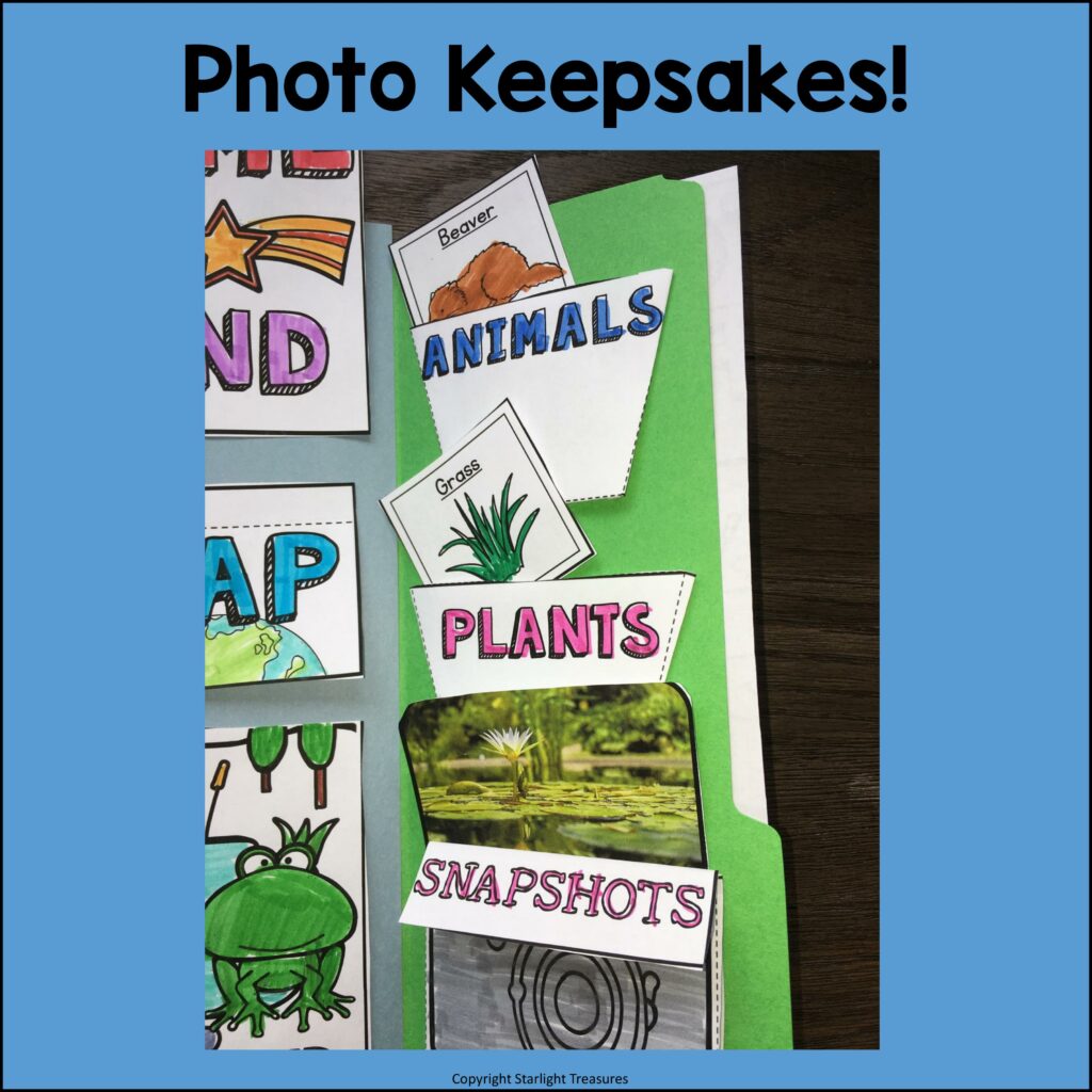 Pond Lapbook for Early Learners - Animal Habitats | Made By Teachers