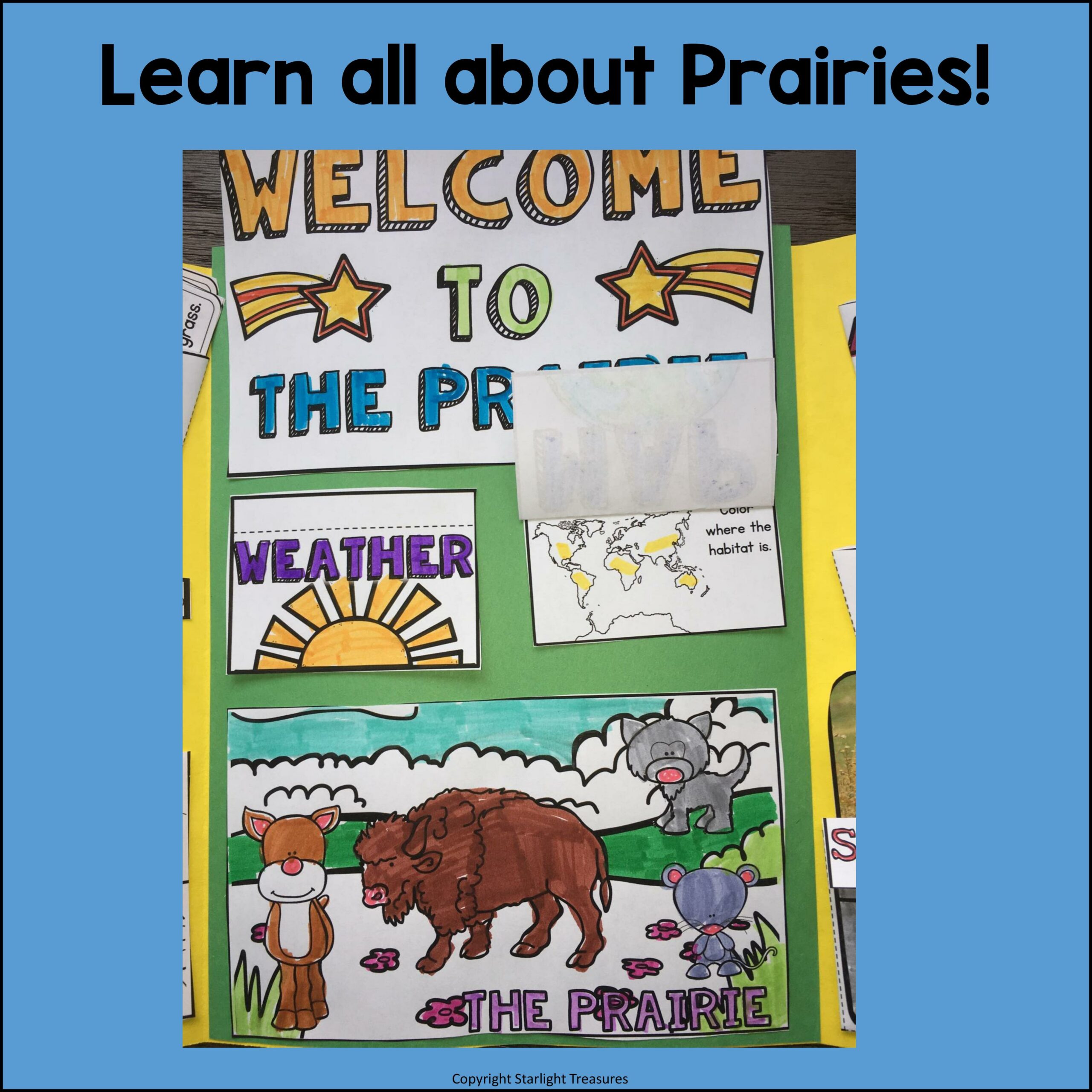 Prairie Lapbook for Early Learners - Animal Habitats | Made By Teachers