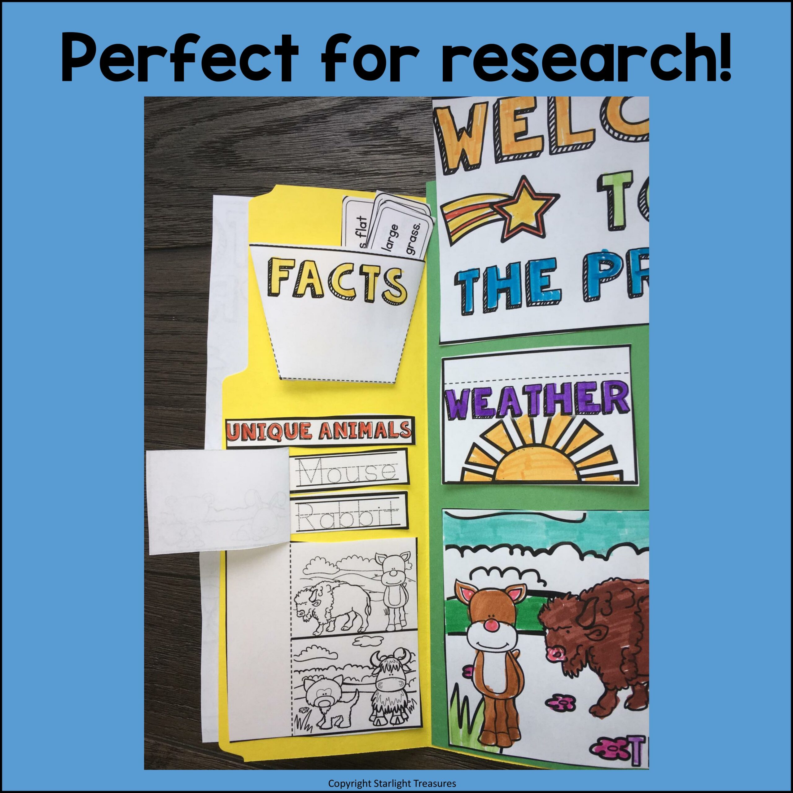 Prairie Lapbook for Early Learners - Animal Habitats | Made By Teachers