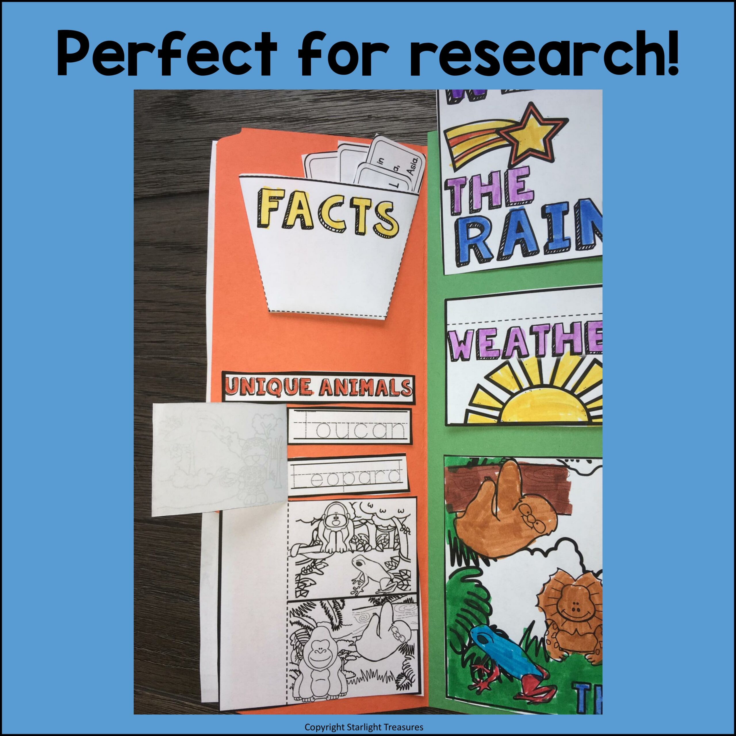 Rainforest Lapbook for Early Learners - Animal Habitats | Made By Teachers