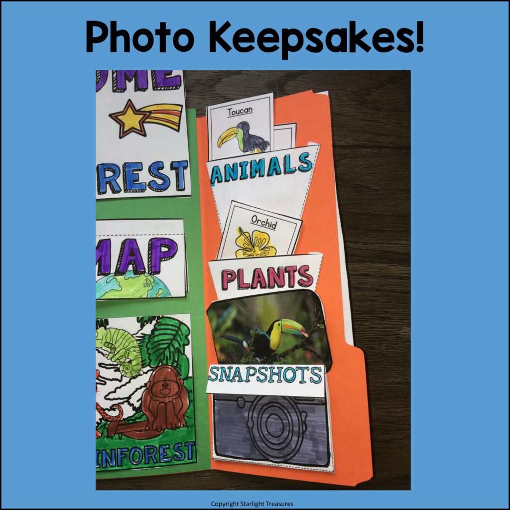 Rainforest Lapbook for Early Learners - Animal Habitats | Made By Teachers